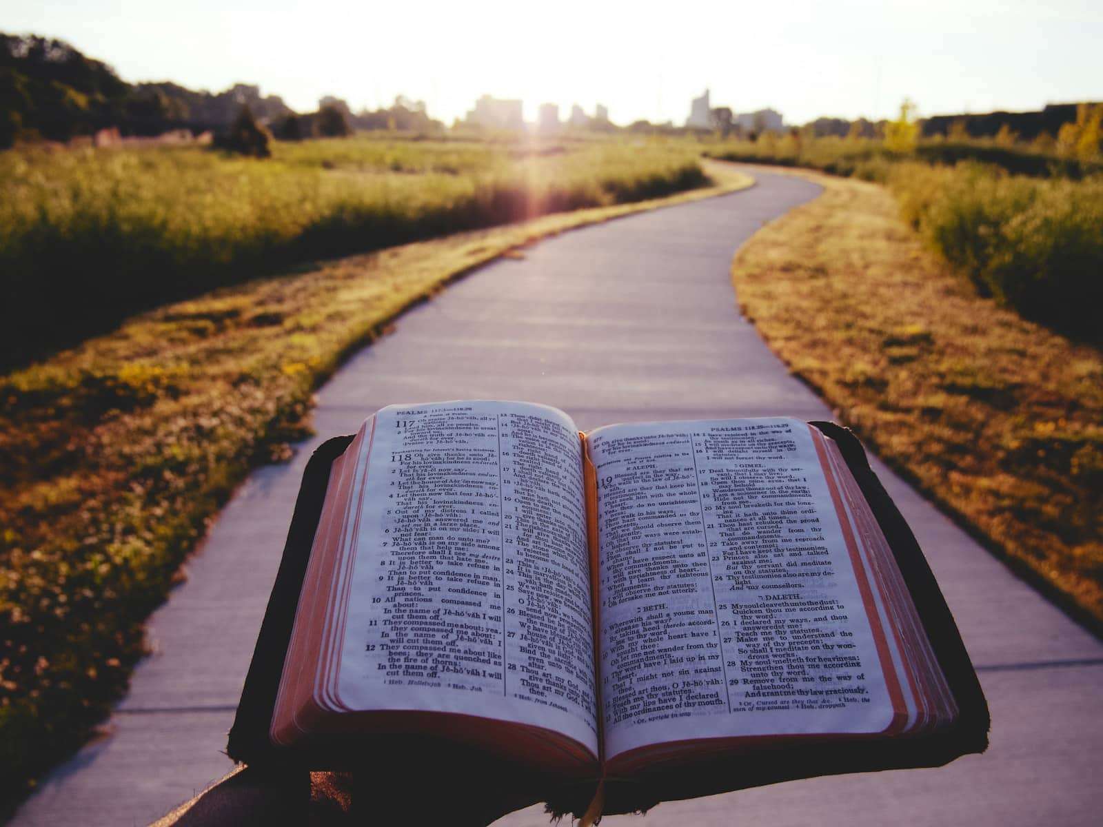 How to Read the Bible and Understand God's Word | God Liberation ...